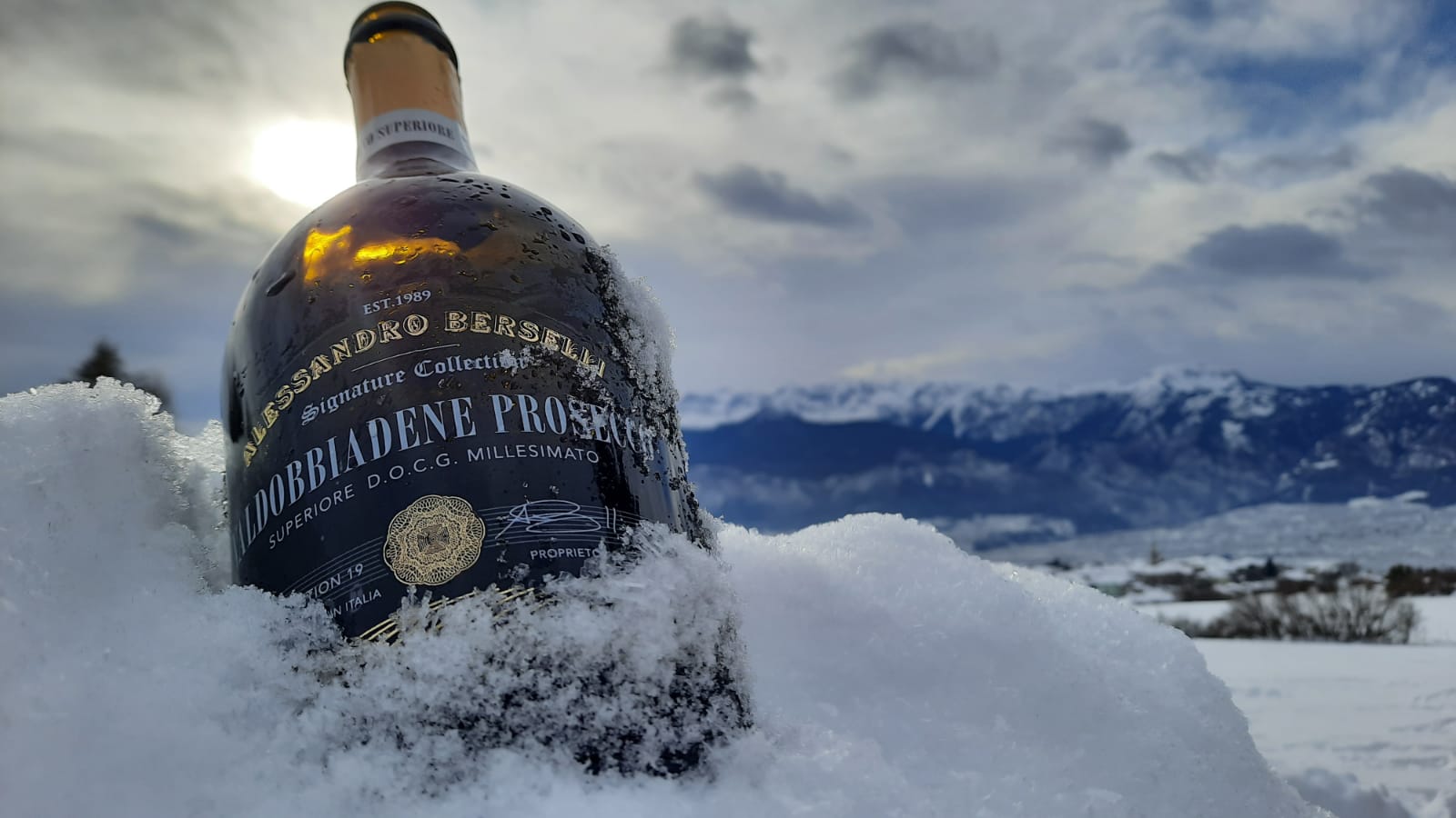 Millesimato wine: origin and fun facts of a great wine