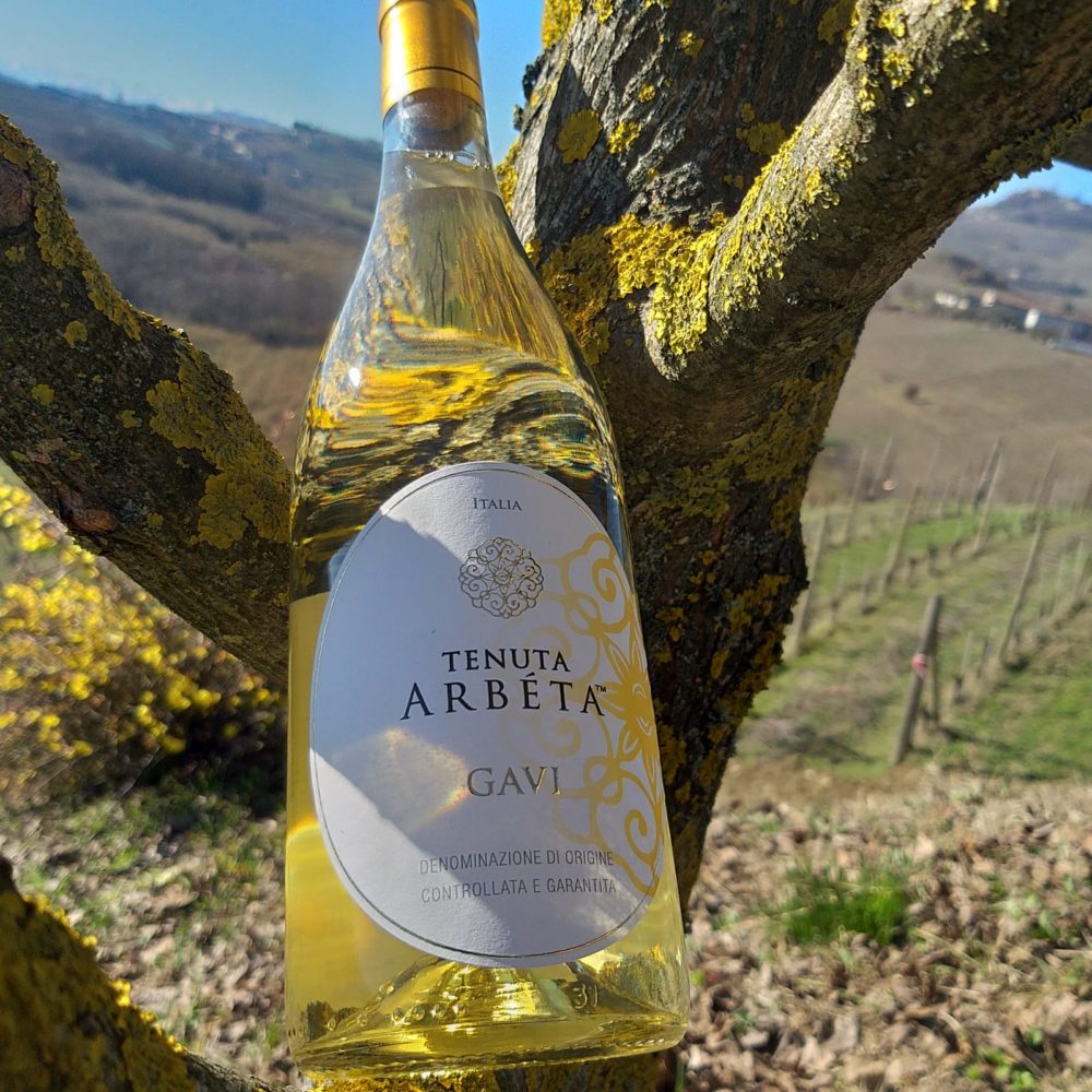 Gavi wine: an export success story older than the United States