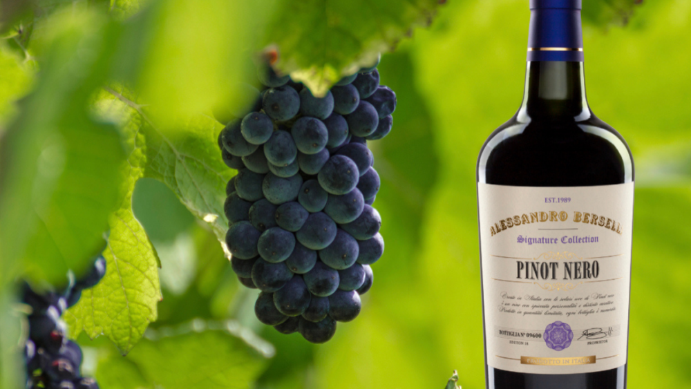 Vino pinot nero: tendenze e caratteristiche per la produzione di vini unici